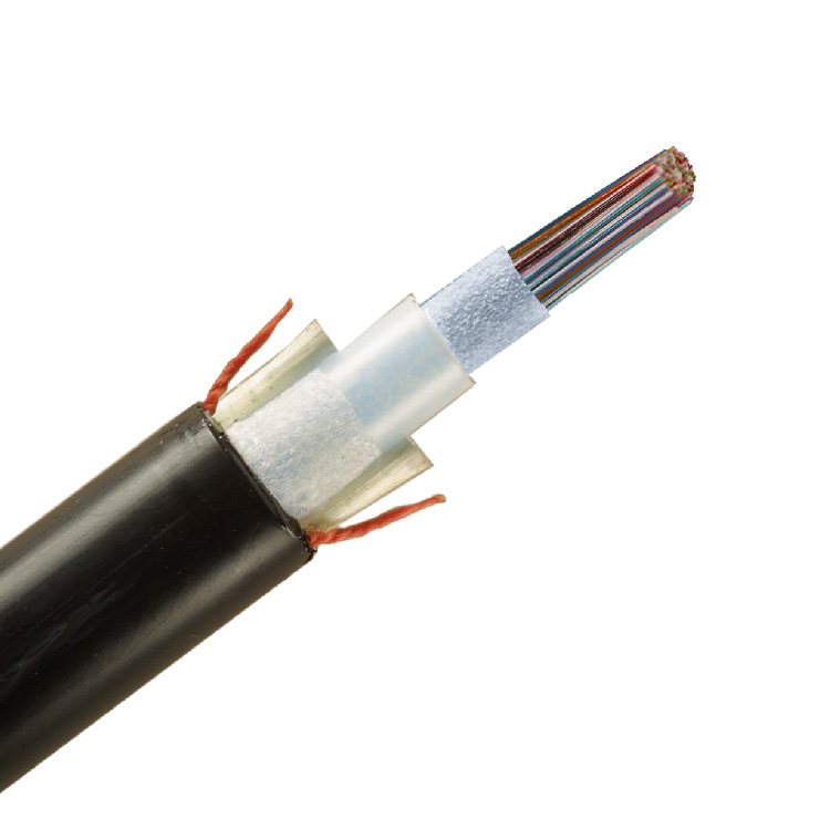 AccuRoll® 200 μm Dry Core (DC) Rollable Ribbon Cable